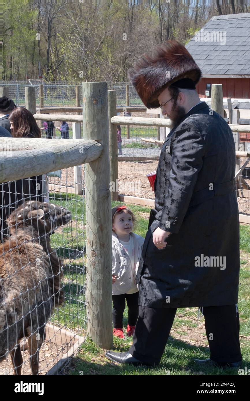 On Passover 2024, an orthodox Jewish father in a shtreimel fur hat ...