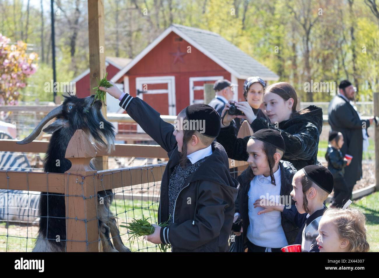 During Passover when the bible mandates having fun, a group of orthodox ...