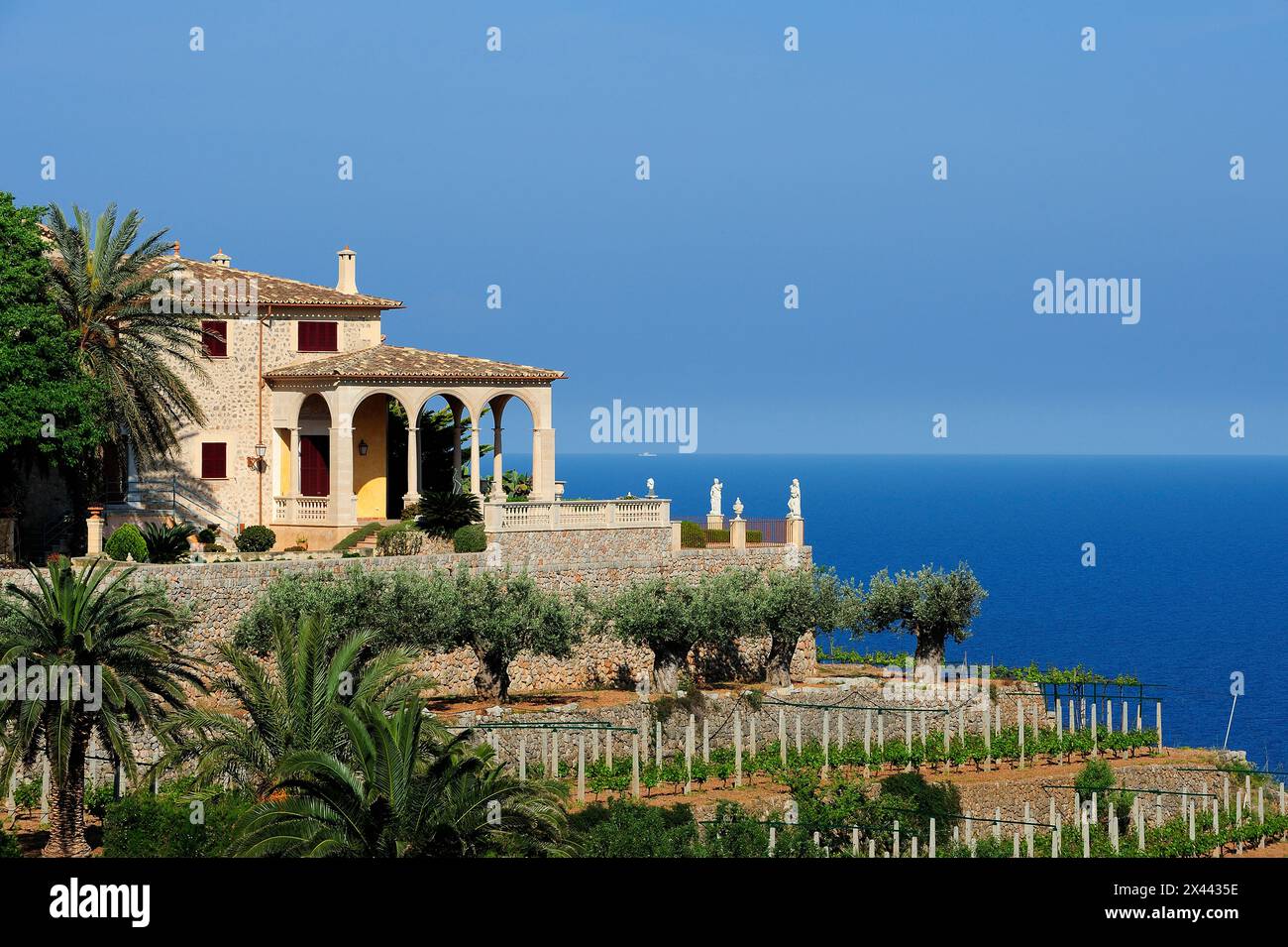 Terraces olive trees hi-res stock photography and images - Alamy