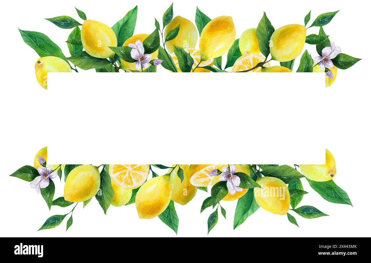 Lemon fruit, frame, watercolor, decoration, illustration, realistic ...