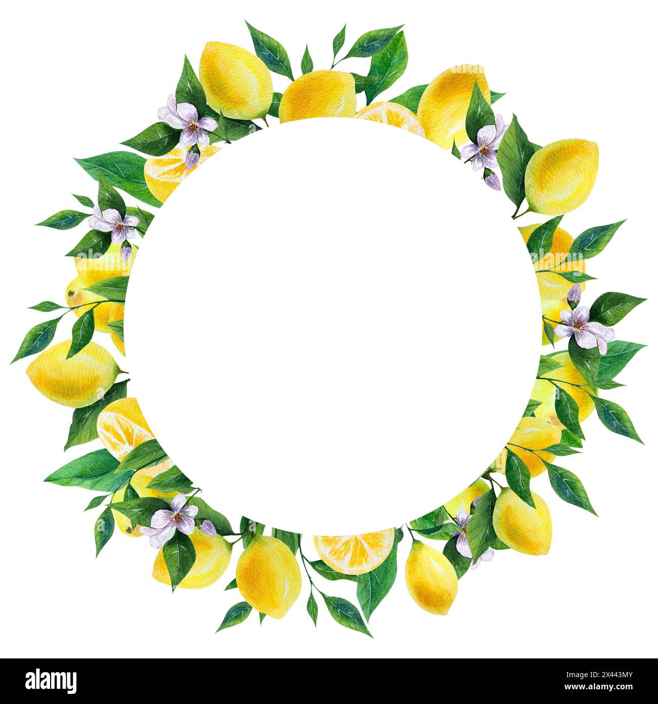 Lemon fruit, frame, decoration, illustration, wreath, round, circle ...