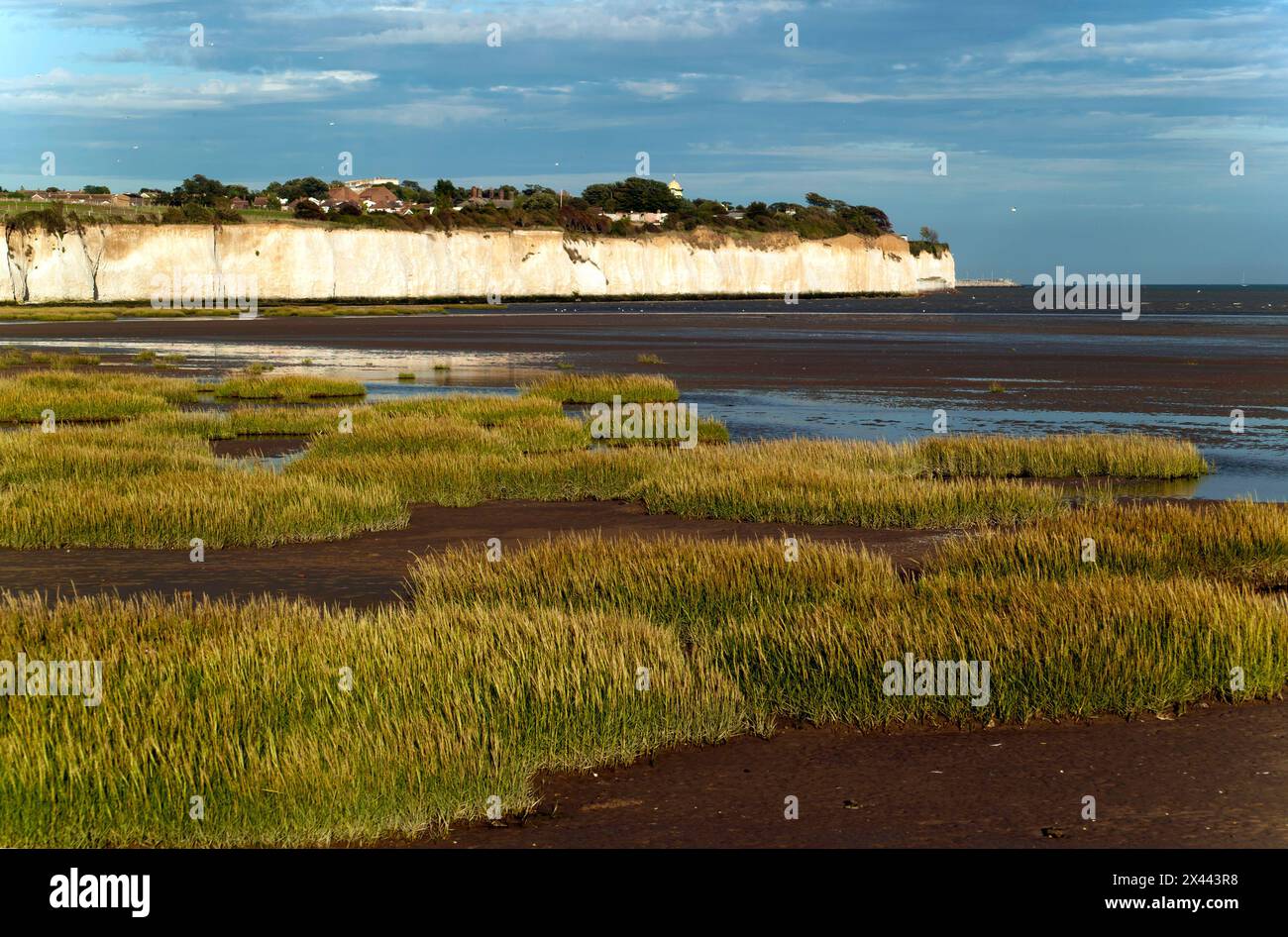 Pegwell nature reserve hi-res stock photography and images - Alamy