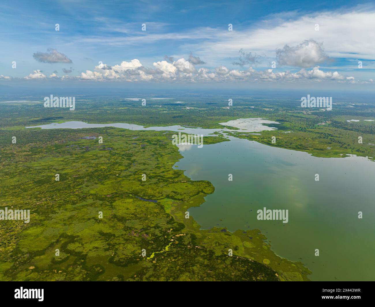 Agusan Marsh Wildlife Sanctuary: A vast wetland of swamp forests ...
