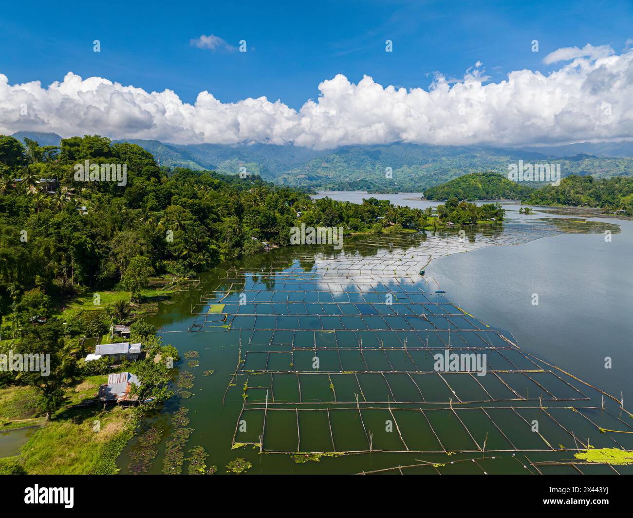 Aerial view of fish farm in Lake Sebu and rainforest, green trees ...