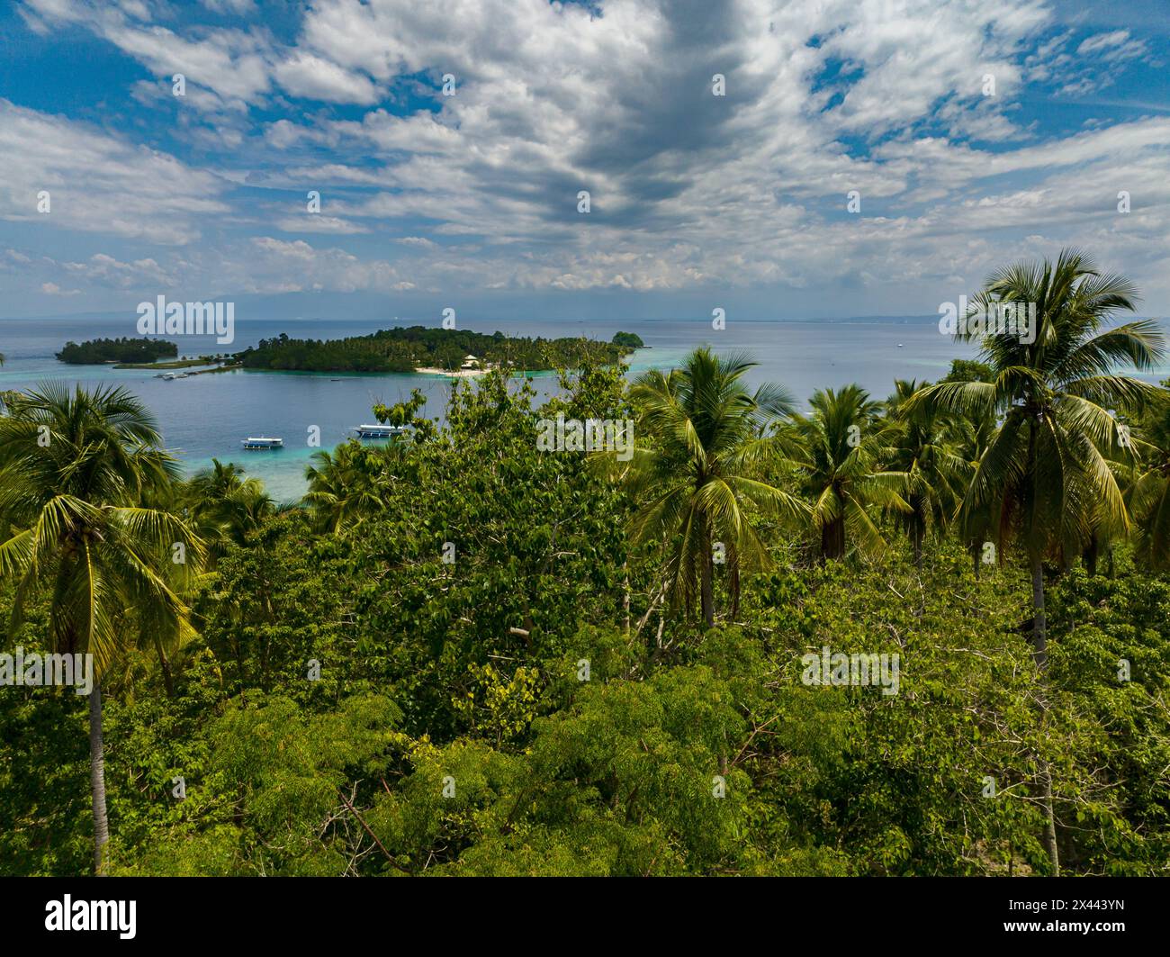 Panorama view of tropical island with trees in Samal. Davao ...