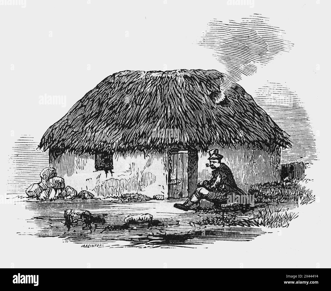 A mud cabin in County Mayo, Ireland, 19th century. Illustration from ...