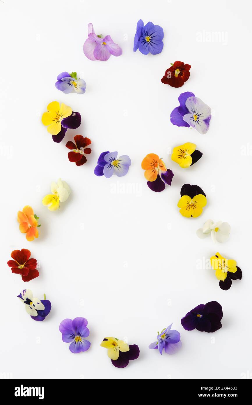 Number eight made of edible colorful buds of viola isolated on white ...