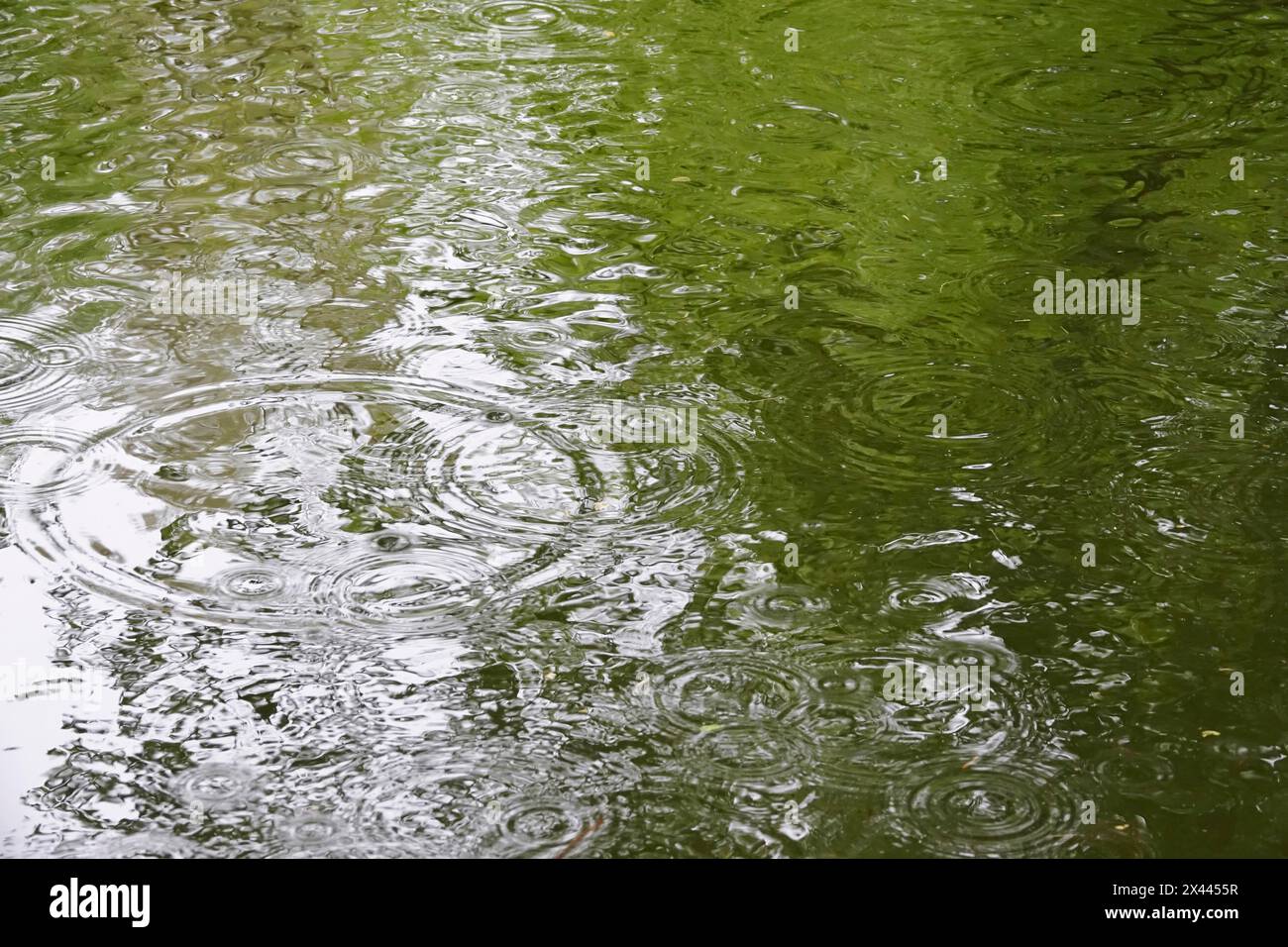 Weather by the lake hi-res stock photography and images - Alamy