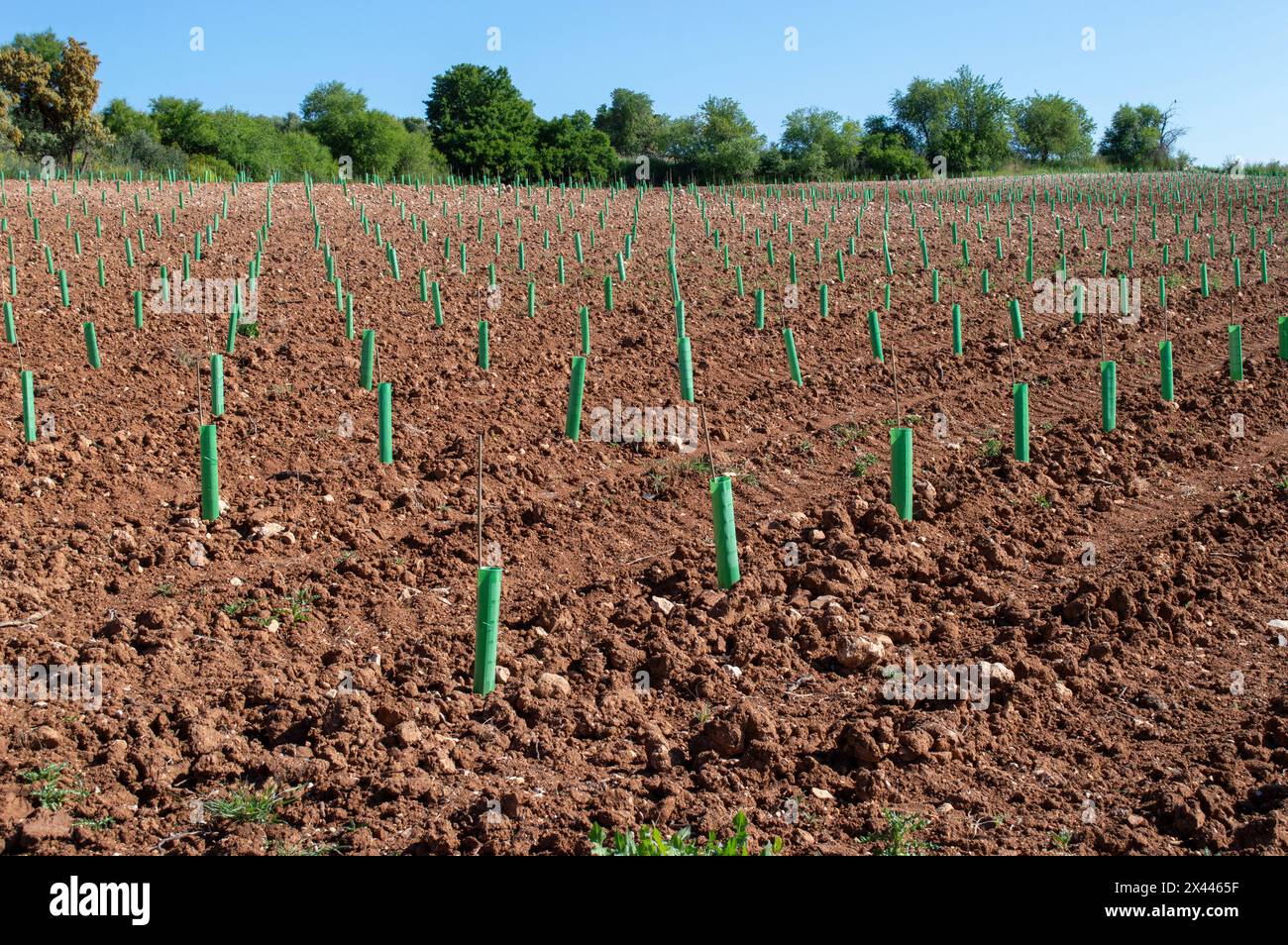 Tubos protectores hi-res stock photography and images - Alamy