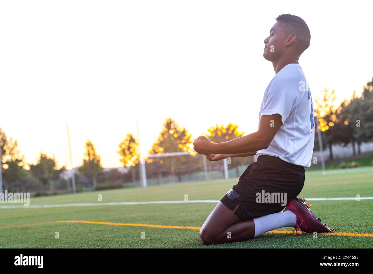 Soccer player on his knees celebrating a goal. Excited footballer man ...