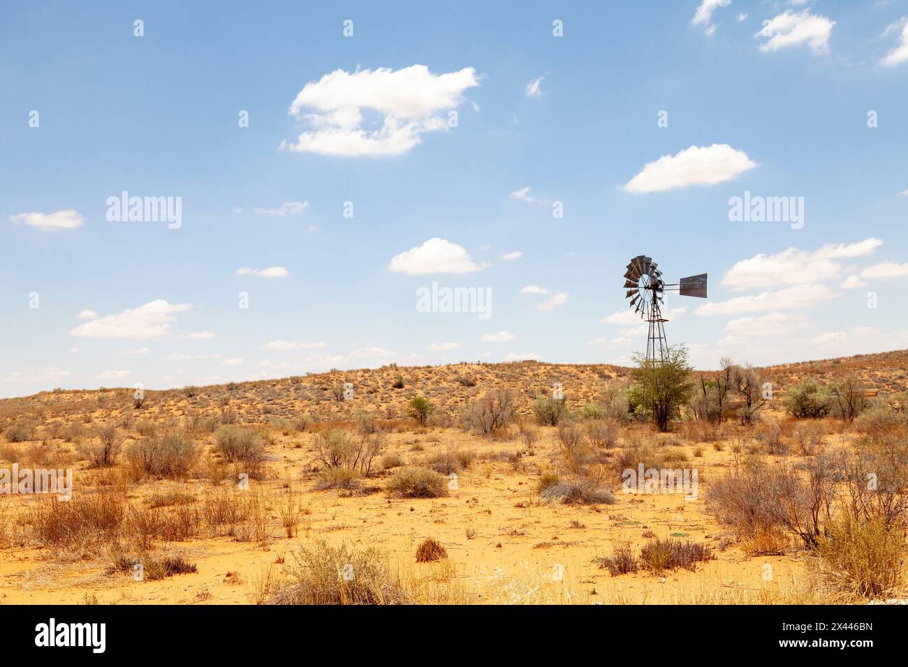 Lone agricultural windmill in an arid Kalahari red dune landscape ...