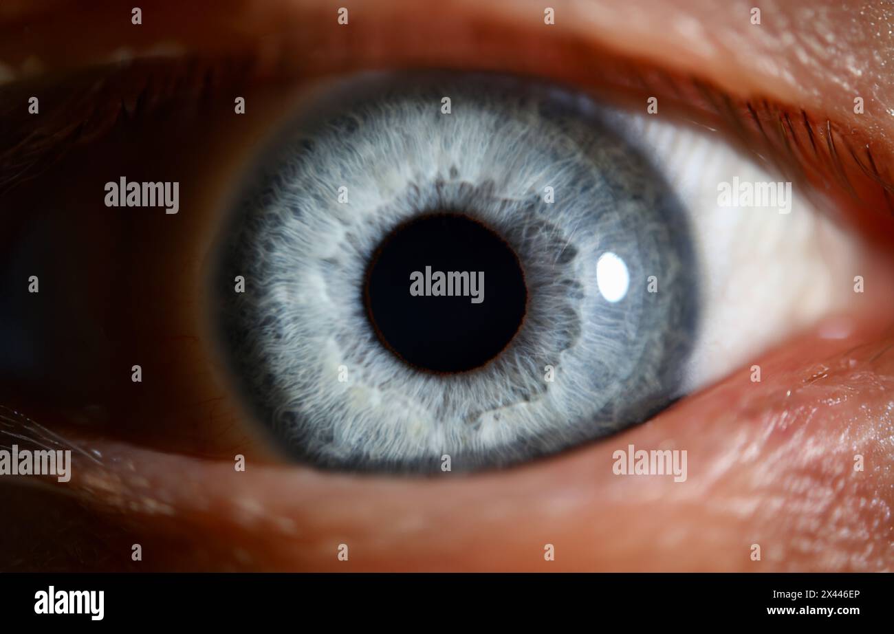 Blue eye male human super macro closeup Stock Photo - Alamy