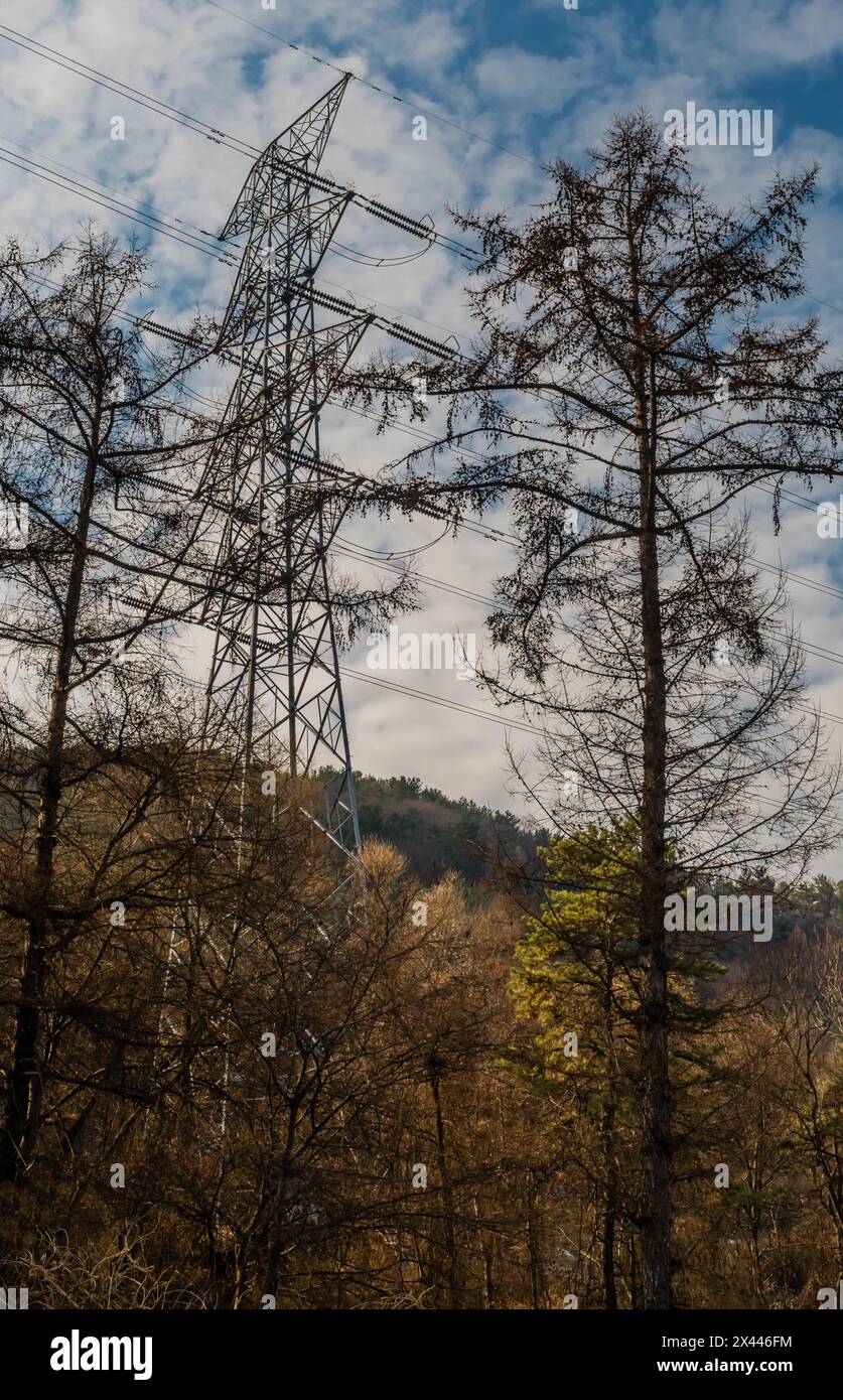 Winter landscape of electrical power line tower surrounded by trees on ...