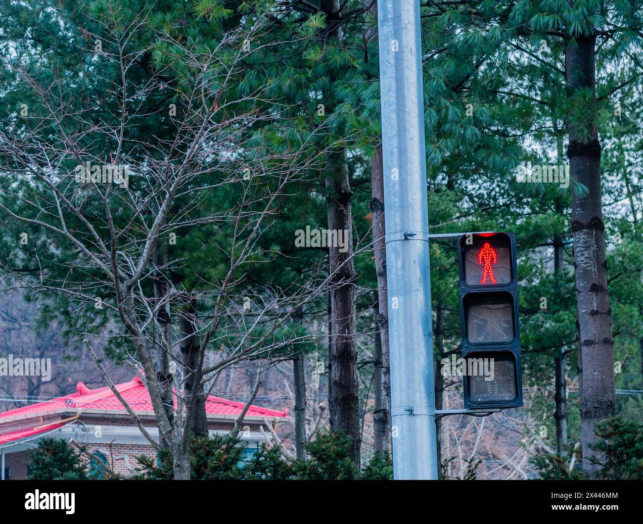 Pedestrian crossing lights in urban neighborhood with no walking red ...