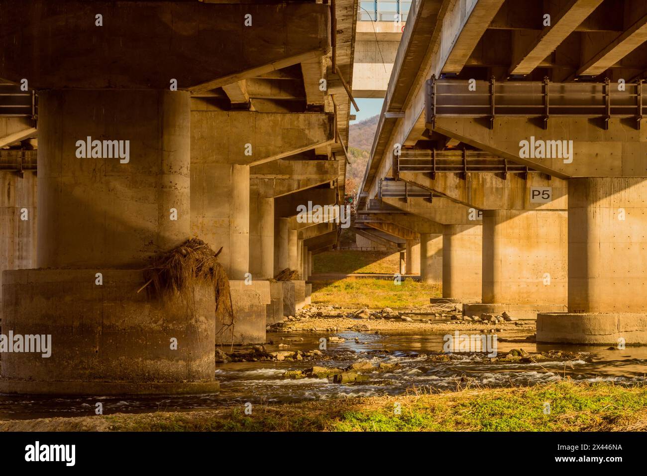 Underside view of columns of two highway overpass next to each other ...