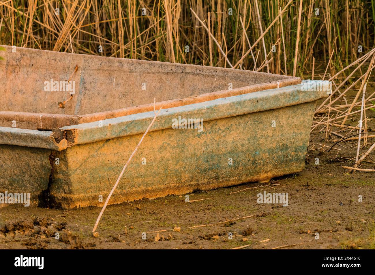 Abandoned fishing boat sitting in tall reeds and mud in NamHae, South ...