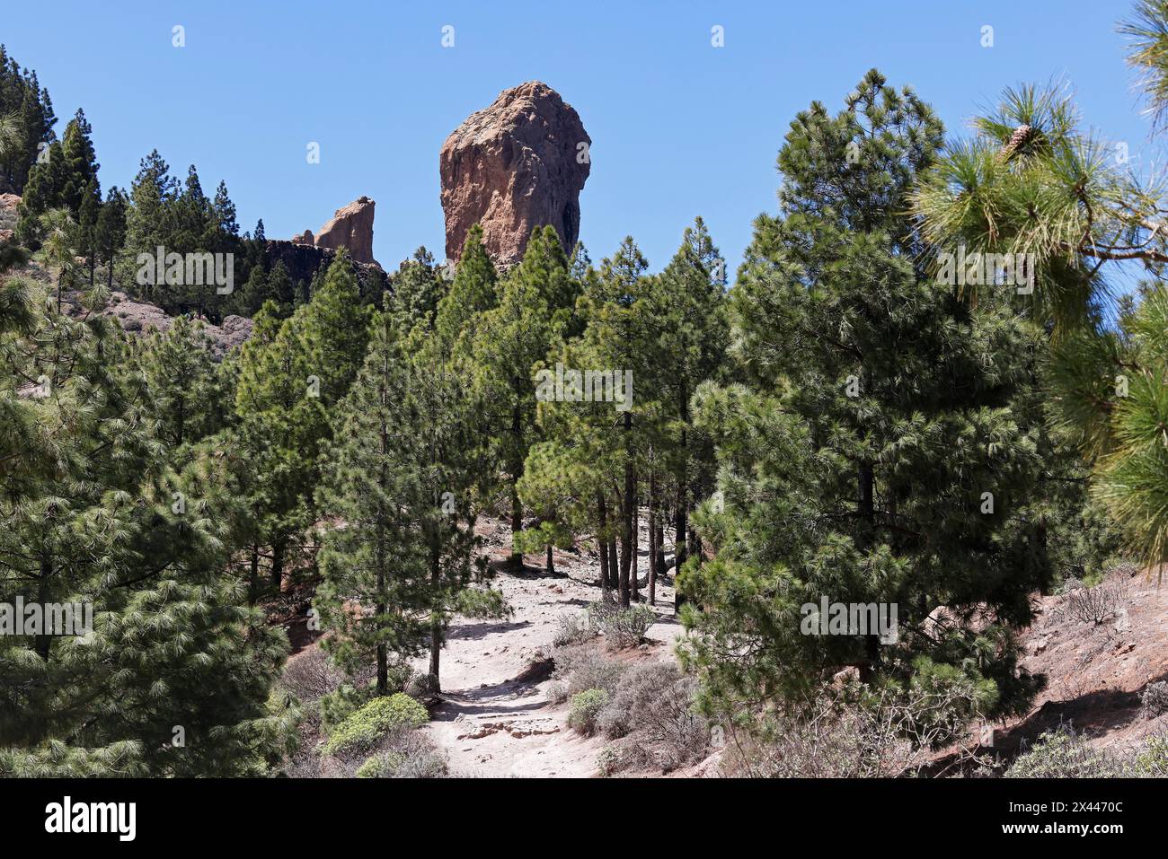 Mighty basalt rock Roque Nublo, also known as Cloud Rock, ascent ...