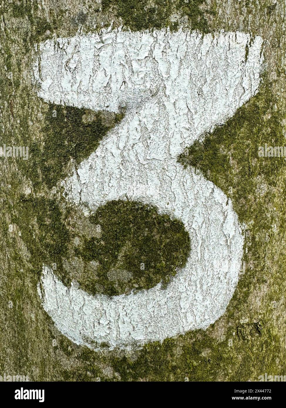 Vintage number 3, digit, anniversary, birthday, North Rhine-Westphalia ...
