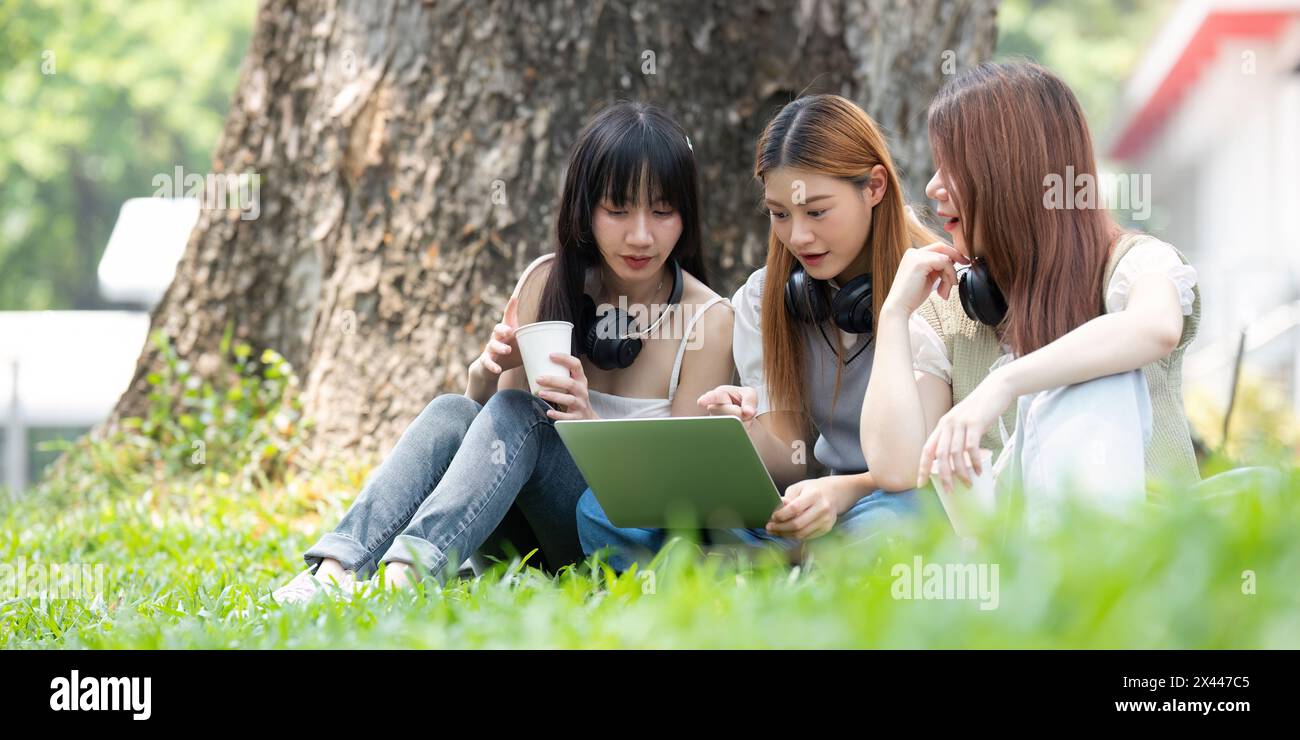 College student having discussion under tree on campus, preparing for ...