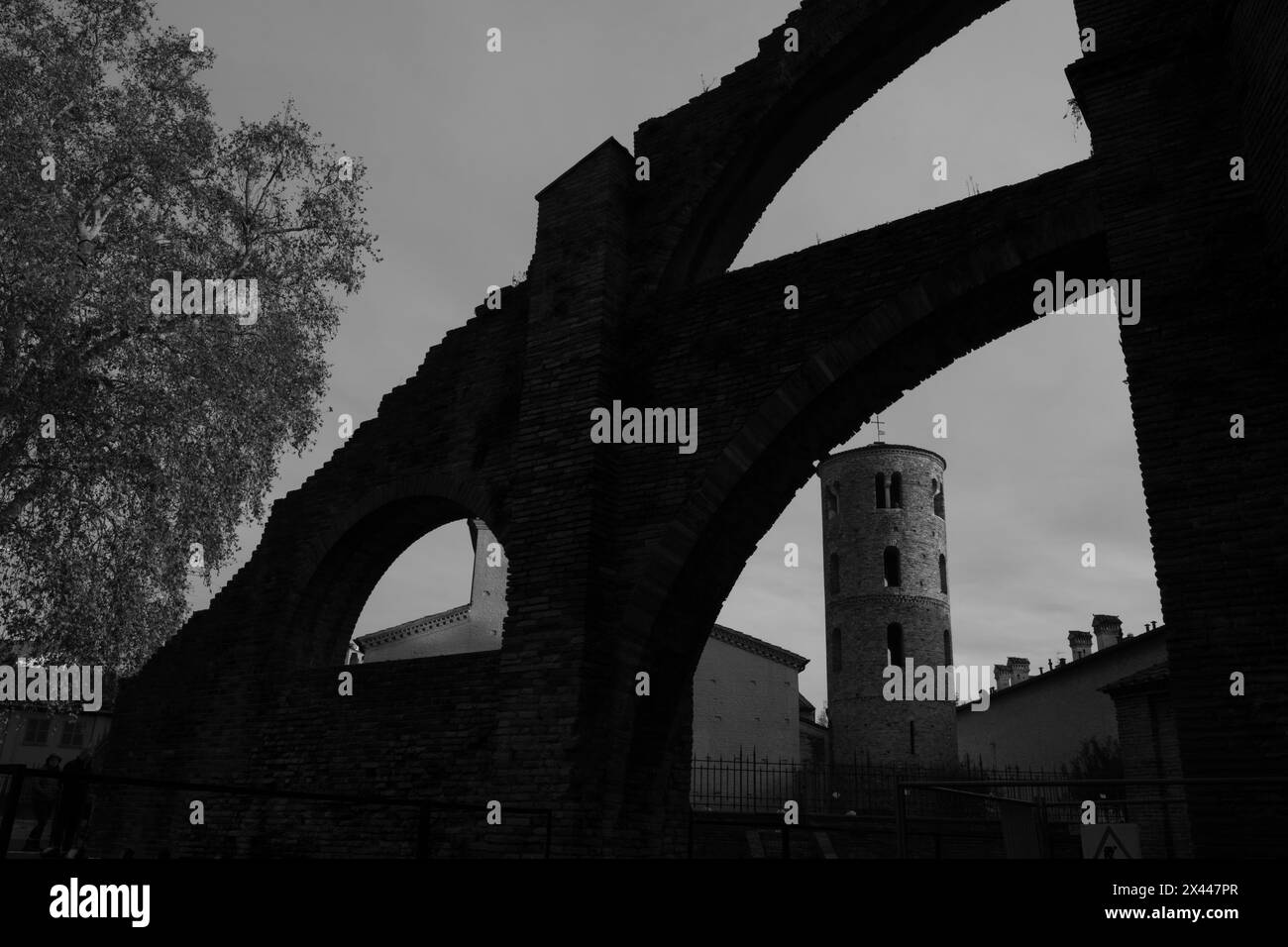 Ravenna nature hi-res stock photography and images - Alamy