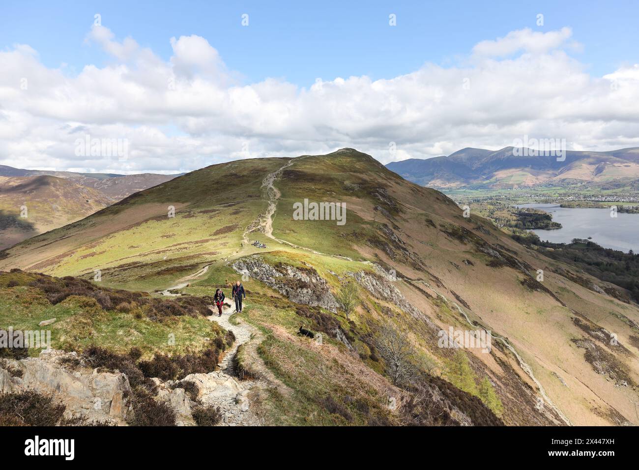 Cat Bells with Skiddaw beyond viewed from the Maiden Moor path, Lake ...