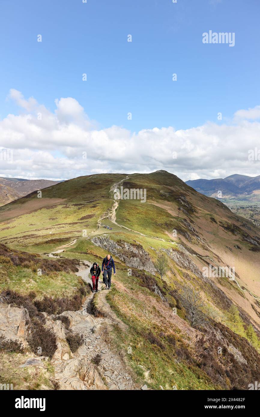 Cat Bells with Skiddaw beyond viewed from the Maiden Moor path, Lake ...