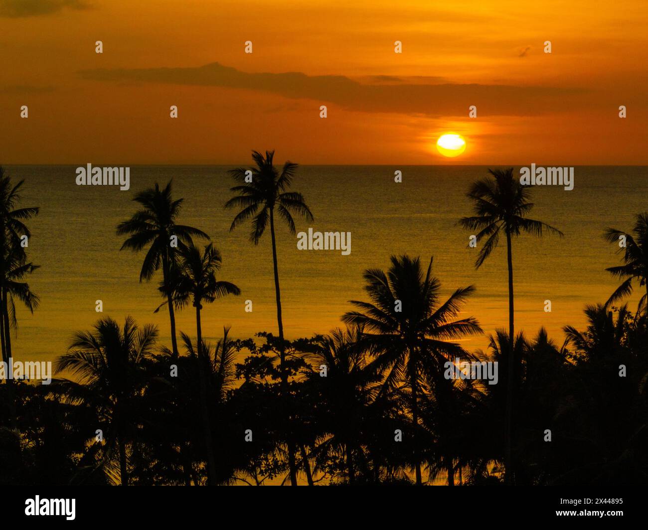 Scenic landscape of golden sunset over the sea and coconut trees in ...