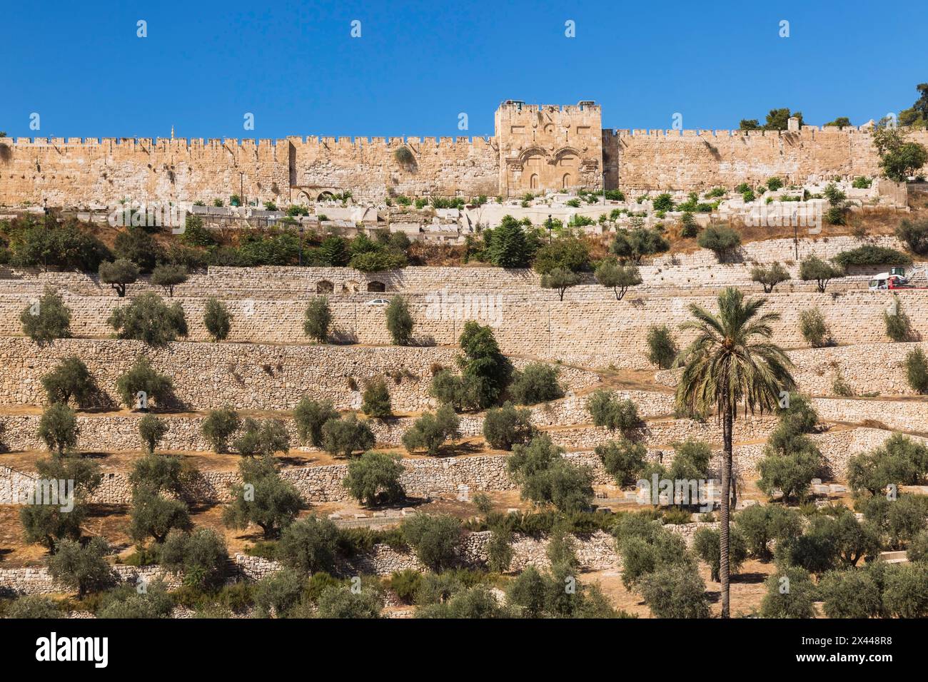 Cemetery with olive trees and fortified stone wall with Golden Gate ...