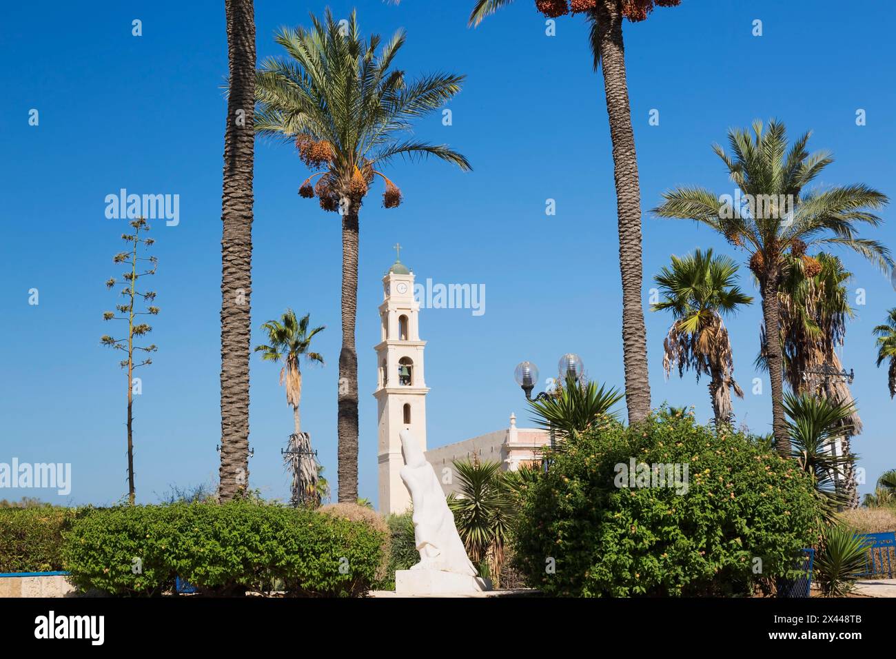 St-Peter's Church through Phoenix dactylifera, Date palm trees, Abrasha ...