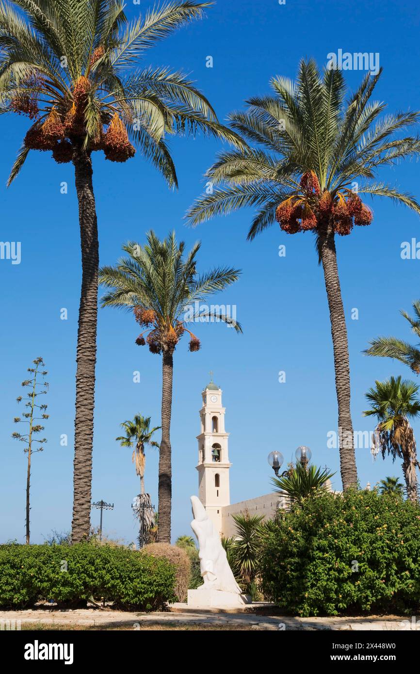 St-Peter's Church through Phoenix dactylifera, Date palm trees, Abrasha ...