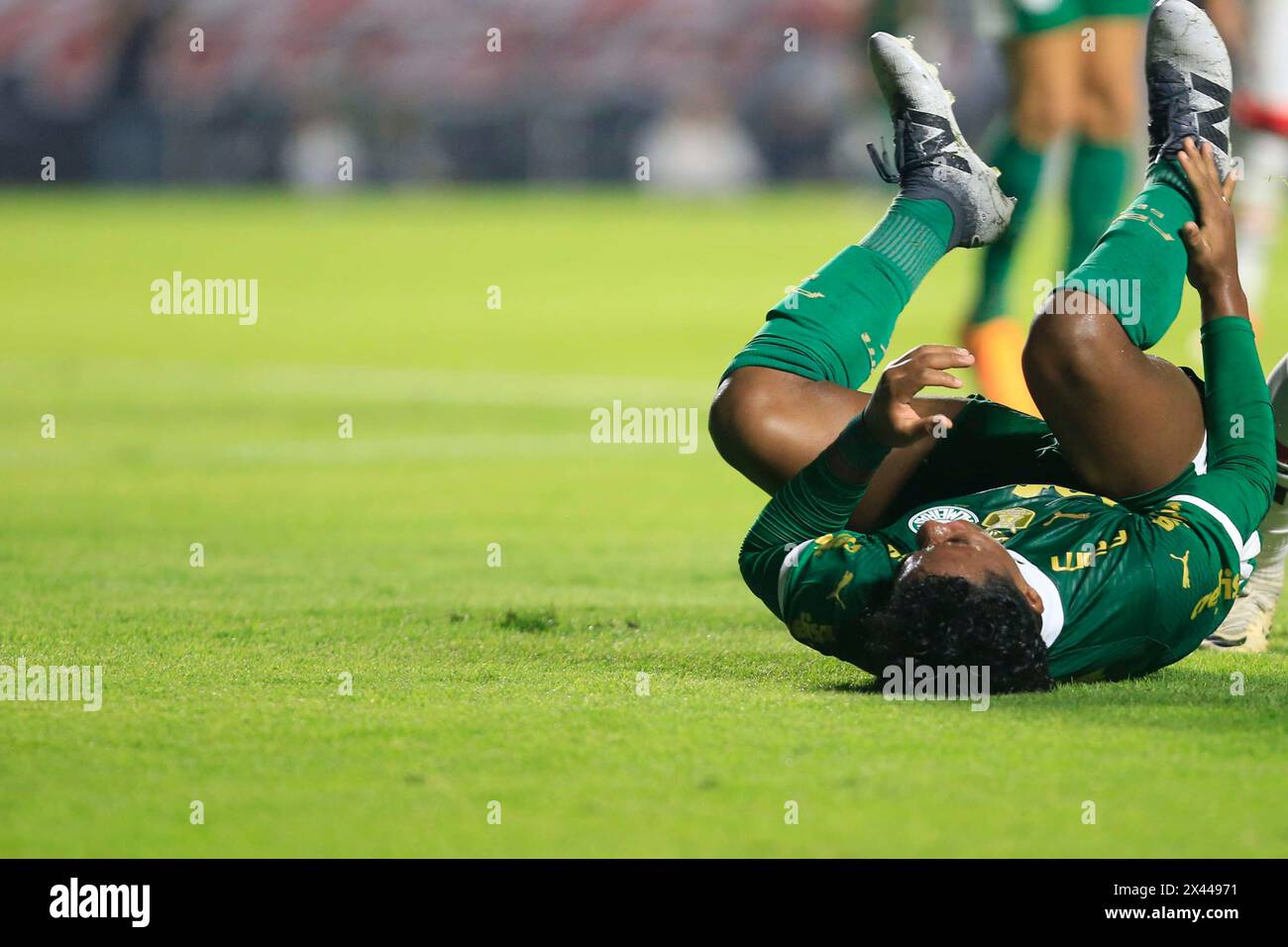Endrick palmeiras 2024 hi-res stock photography and images - Alamy