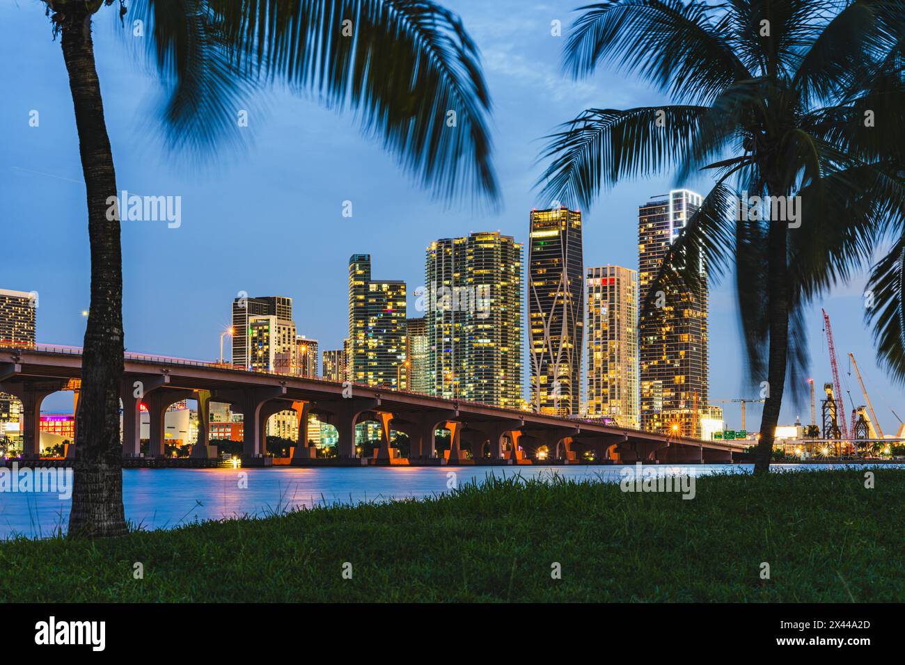 Skyline downtown Miami at night from Venetian Causeway Park, Miami ...
