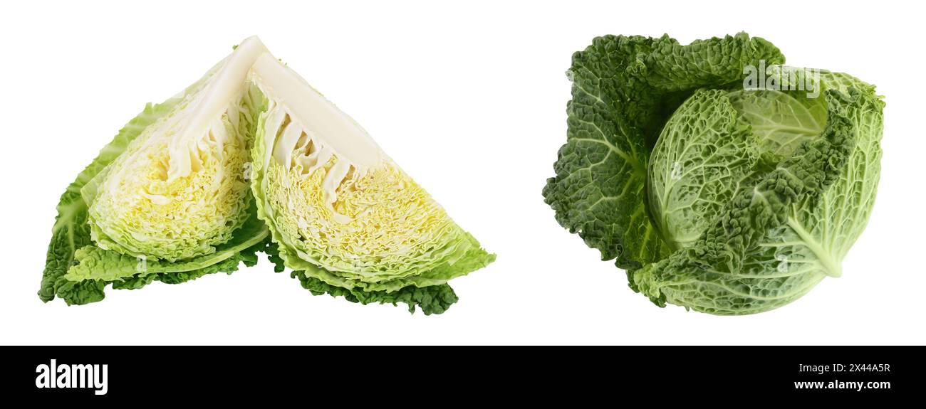 Savoy cabbage slices isolated on white background with full depth of field Stock Photo - Alamy
