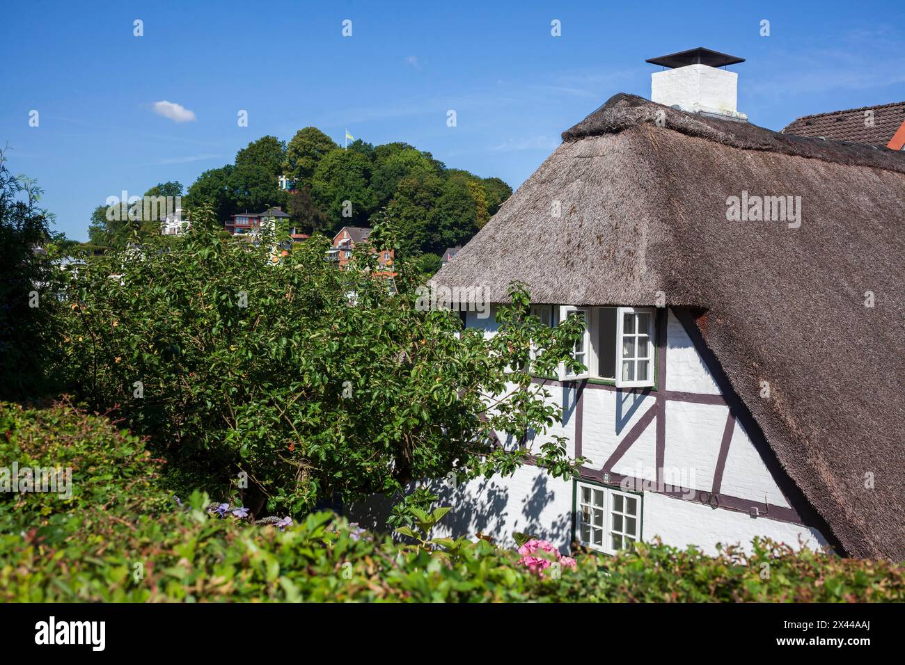 Old thatched half-timbered house in the Treppenviertel, residential ...