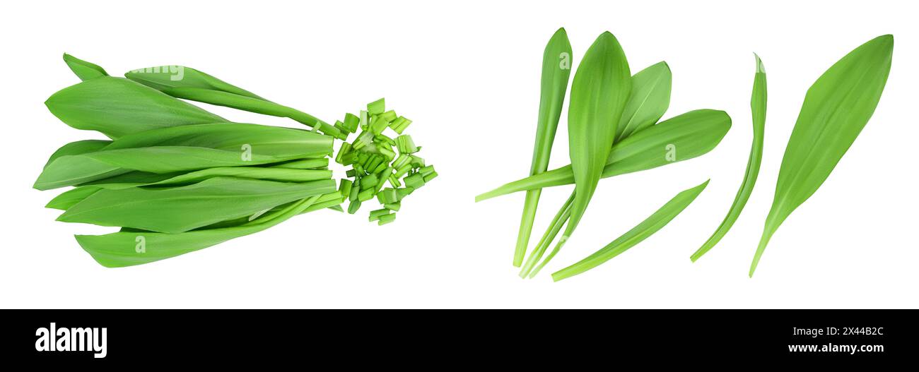 Ramson bunch vegetable isolated on white background with full depth of ...