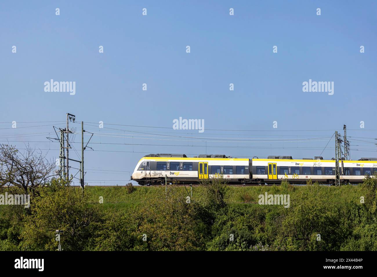 Regional train of the mobility brand bwegt unterwegs, railway ...