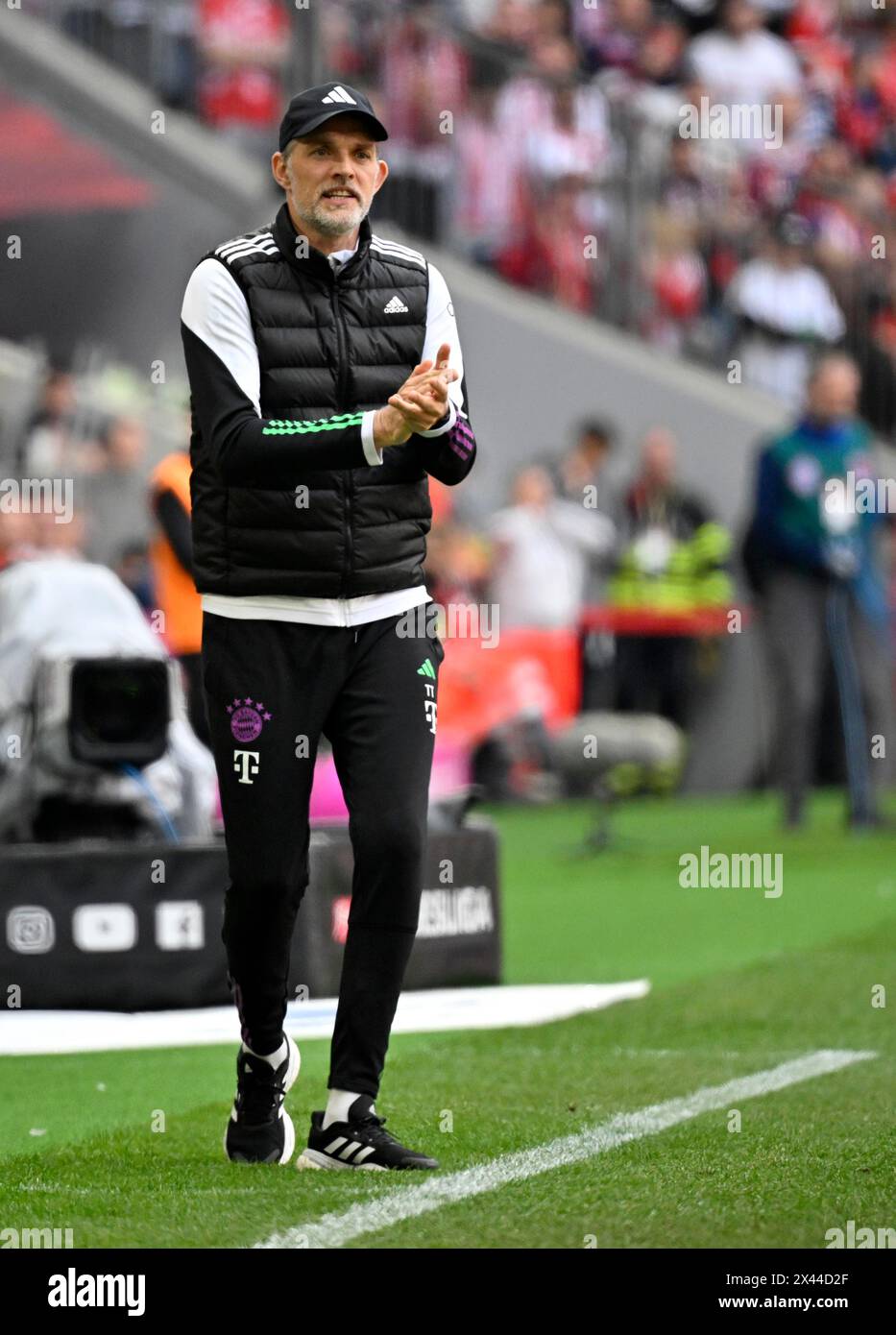Coach Thomas Tuchel FC Bayern Munich FCB on the sidelines clapping his ...