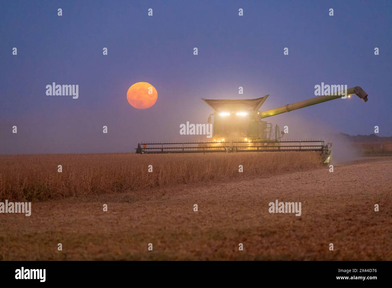 Combine harvesting soybeans as full moon rises (harvest moon), Marion ...