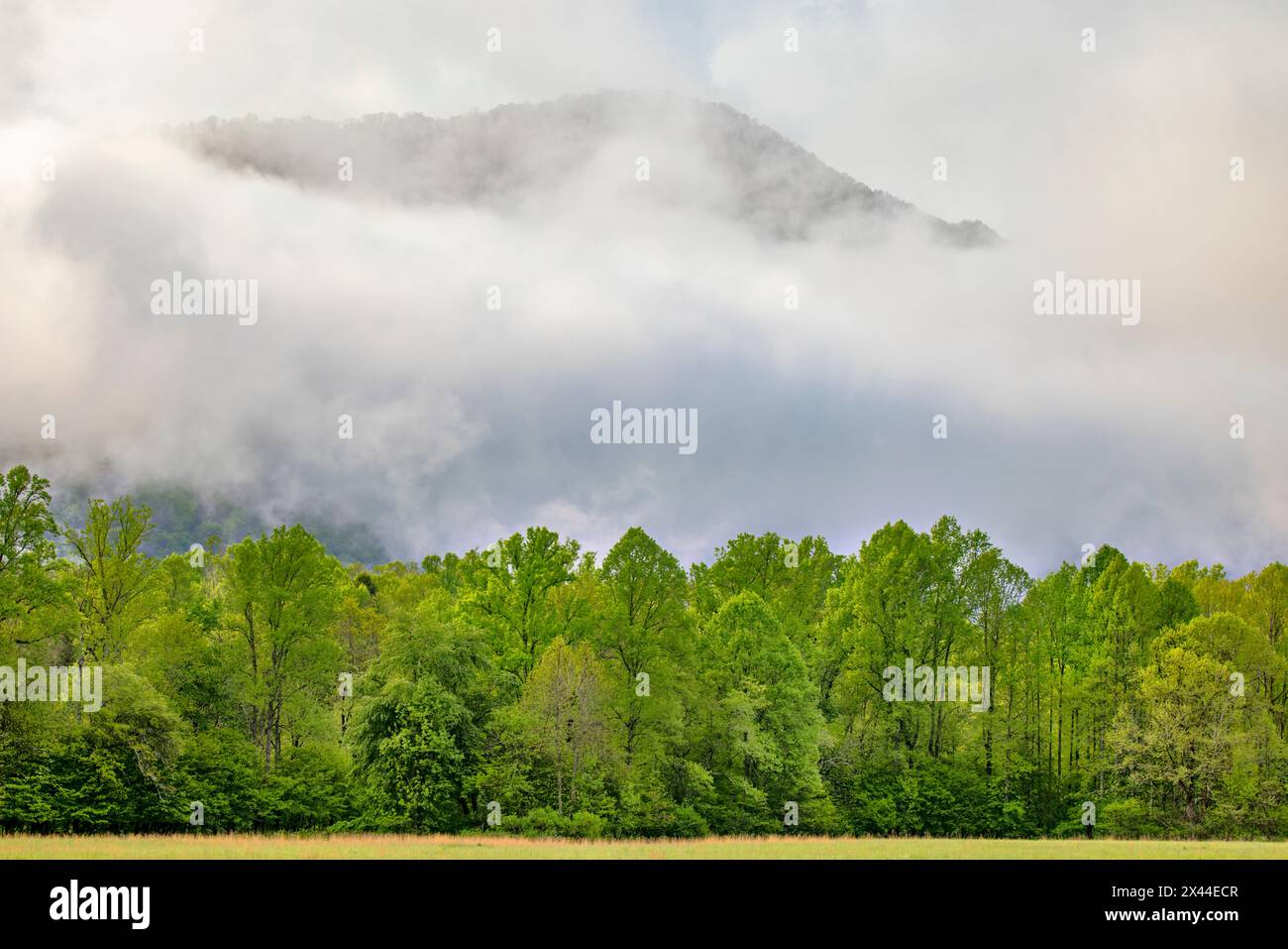 Mountain peak rising through morning mist, Oconaluftee Mountain Farm ...
