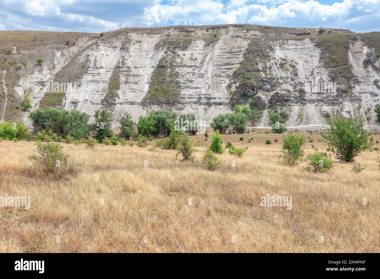 Rural landscape with cliff rocks, trees and grass on the foreground ...