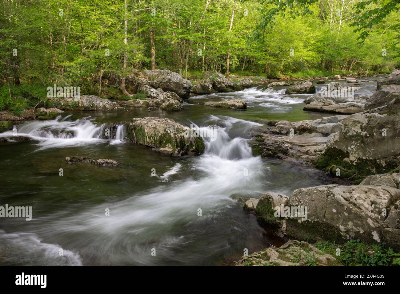Spring view of Little Pigeon River, Greenbrier area, Great Smoky ...