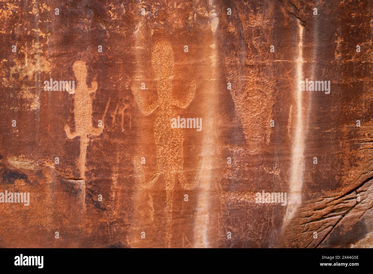 Fremont style lizard petroglyphs along Cub Creek, Dinosaur National ...