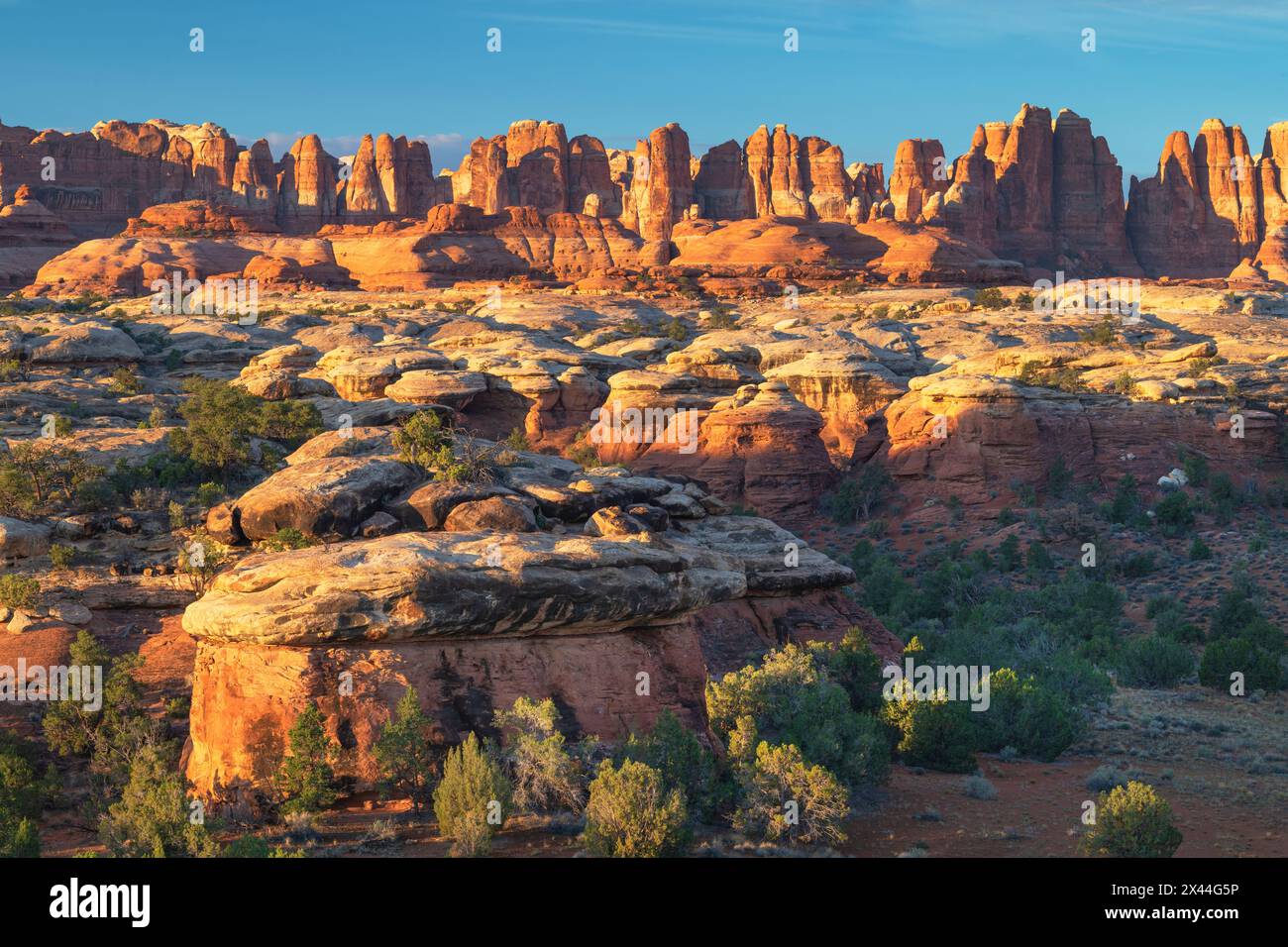 The Needles, Canyonlands National Park, Utah Stock Photo - Alamy