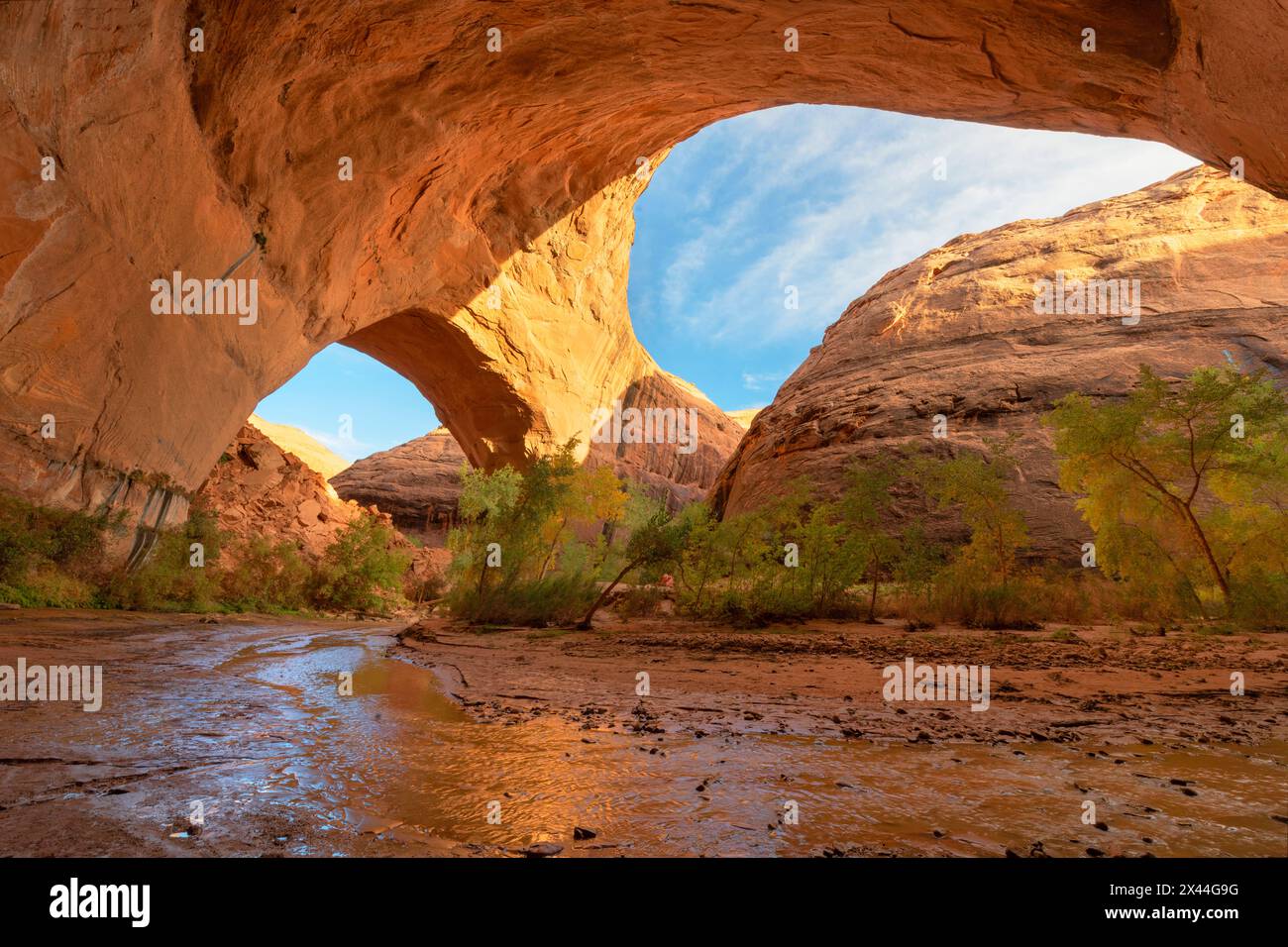 Jacob Hamblin Arch seen from beneath adjacent giant sandstone in Coyote ...