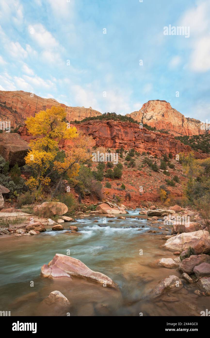Fall color along the Virgin River, Zion National Park, Utah Stock Photo ...