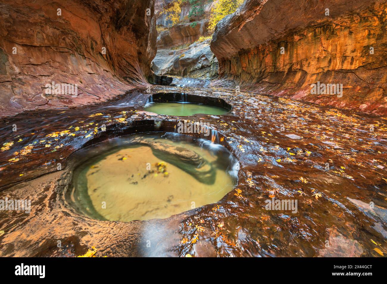 Emerald green pools in The Subway, Left Fork of North Creek, Zion National Park, Utah Stock ...