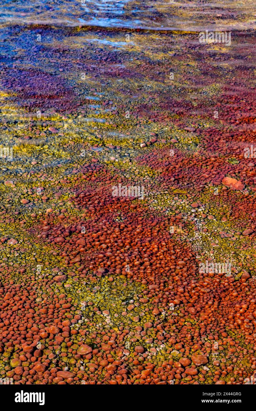 USA, Utah. Crystal Geyser, a cold water geyser, travertine geological ...