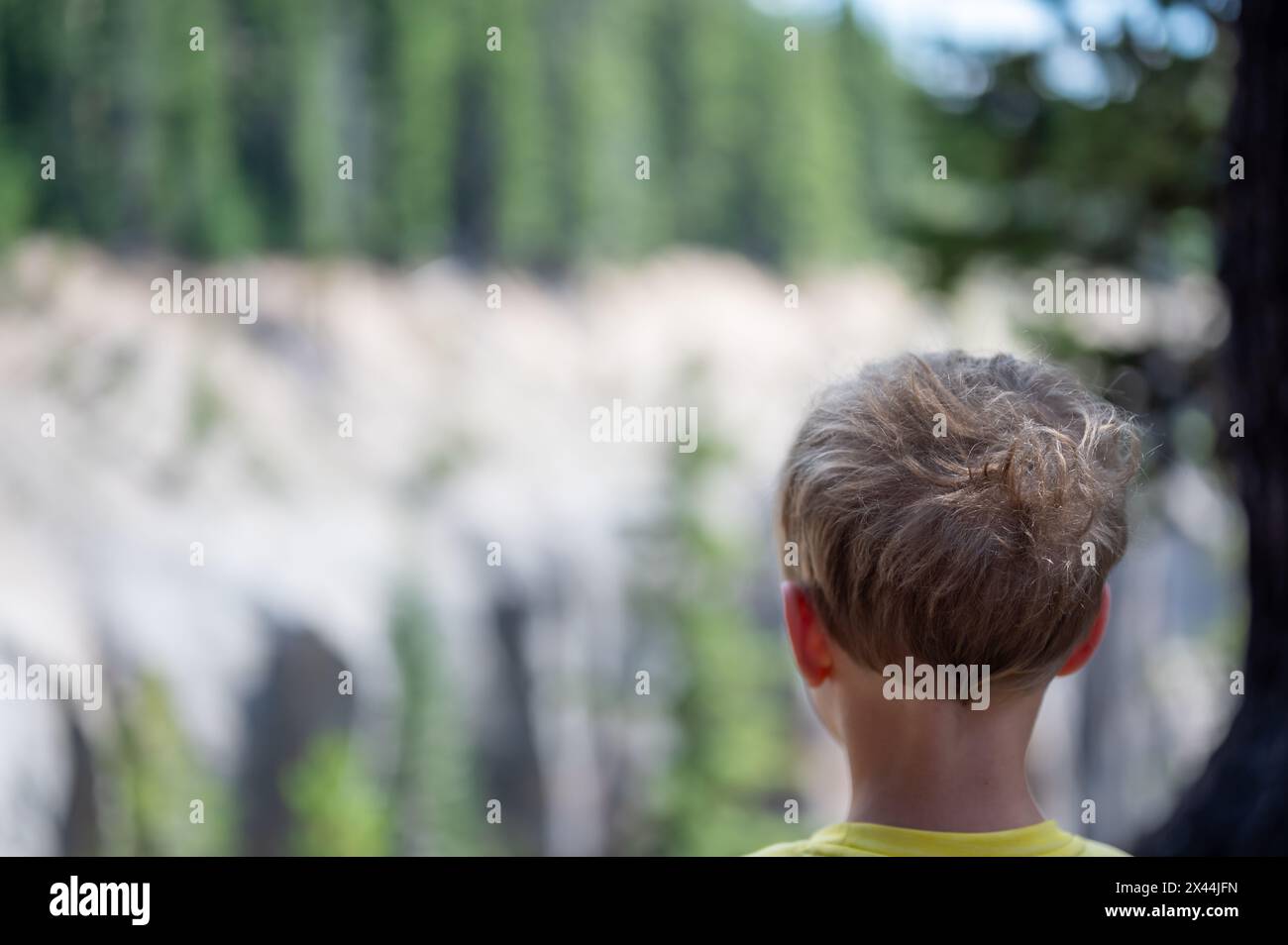 Stare off into the distance hi-res stock photography and images - Alamy