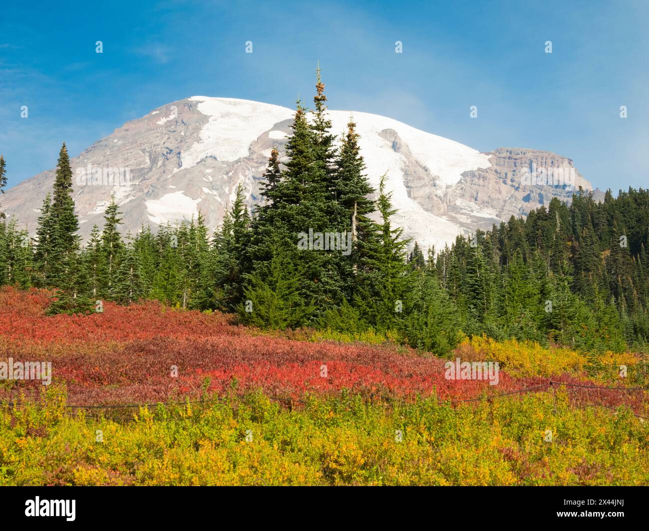 USA, Washington State, Mount Rainier National Park. Fall Color and snow ...