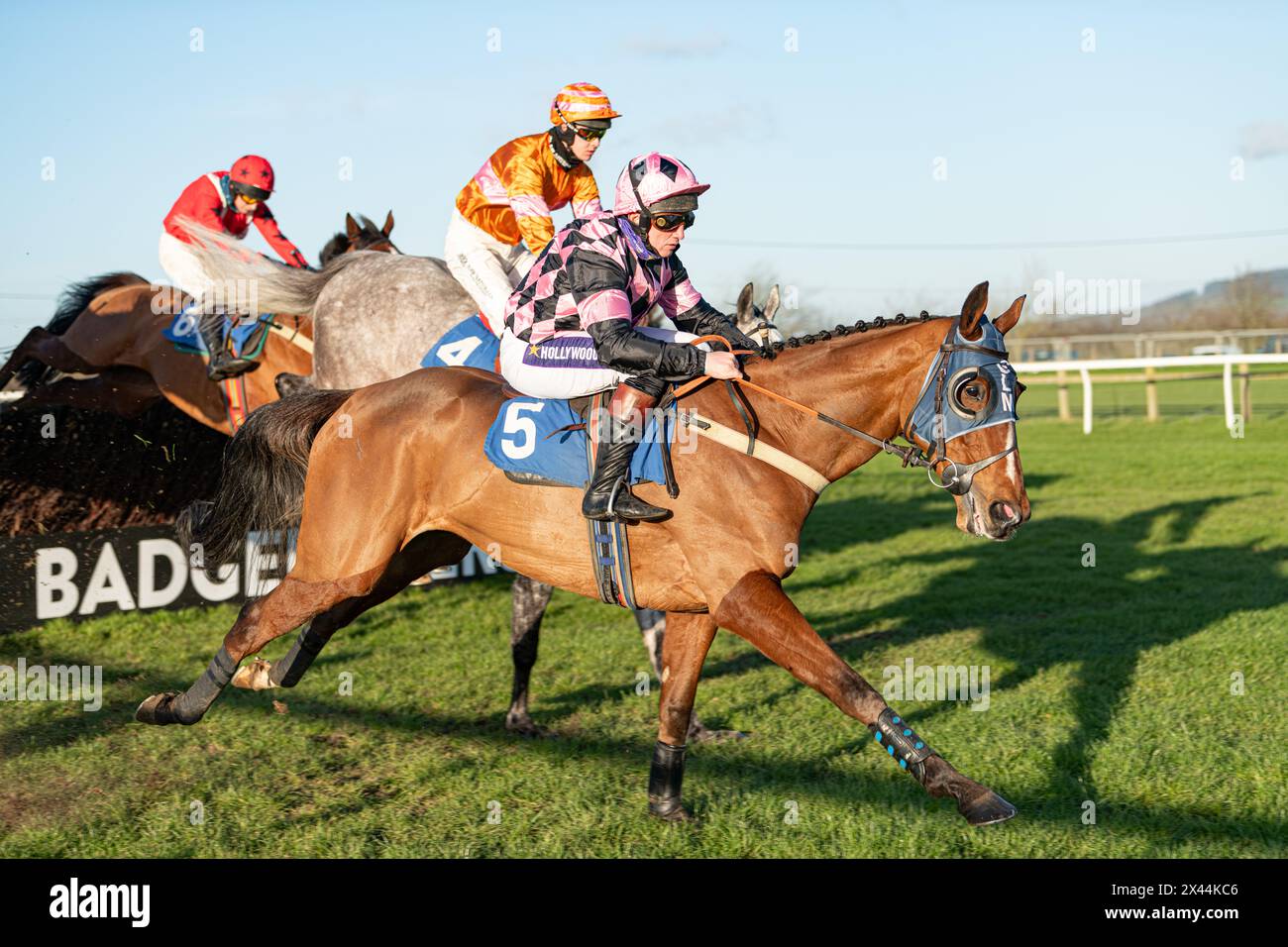 Fifth race at Wincanton - handicap steeple chase, Thursday, January ...